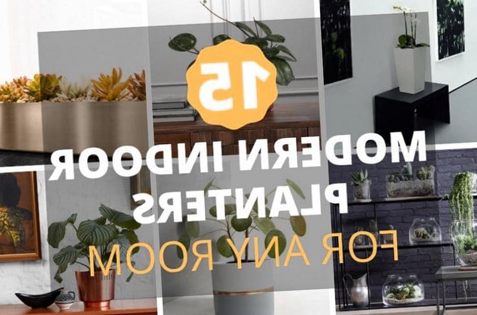 15 macetas modernas de interior para cada habitación de tu casa