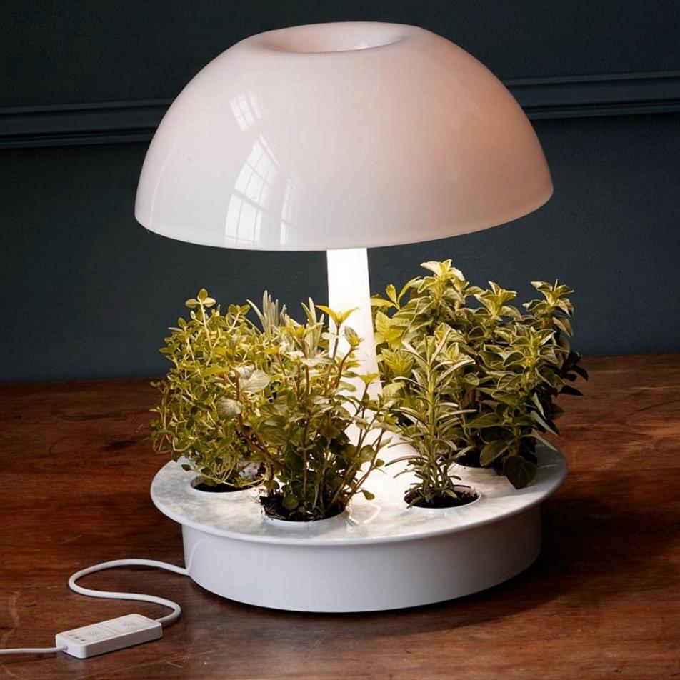 ¿Se pueden cultivar plantas sin luz solar?